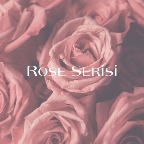 Rose Serisi.jpg?revision=1764179724